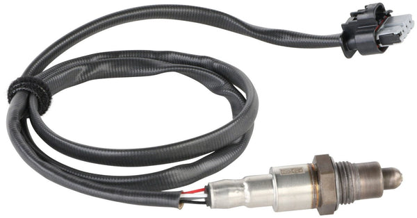 Oxygen Sensor – UroTuning