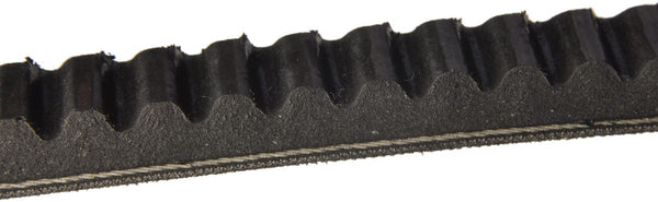 V-Belt | 1098 – UroTuning