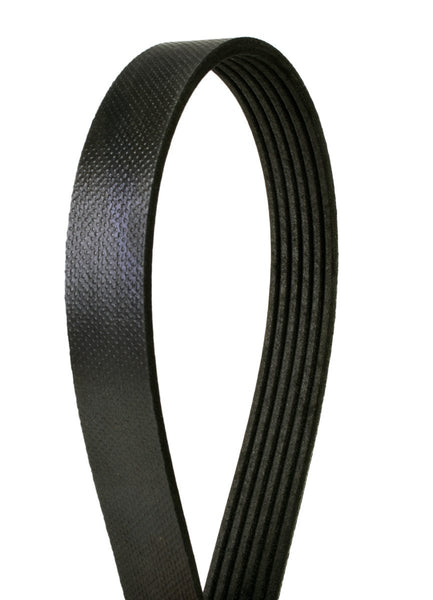 Multi-V Belt | PQR500340 – UroTuning