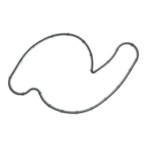 Engine Water Pump Gasket | 71-14193-00 – UroTuning