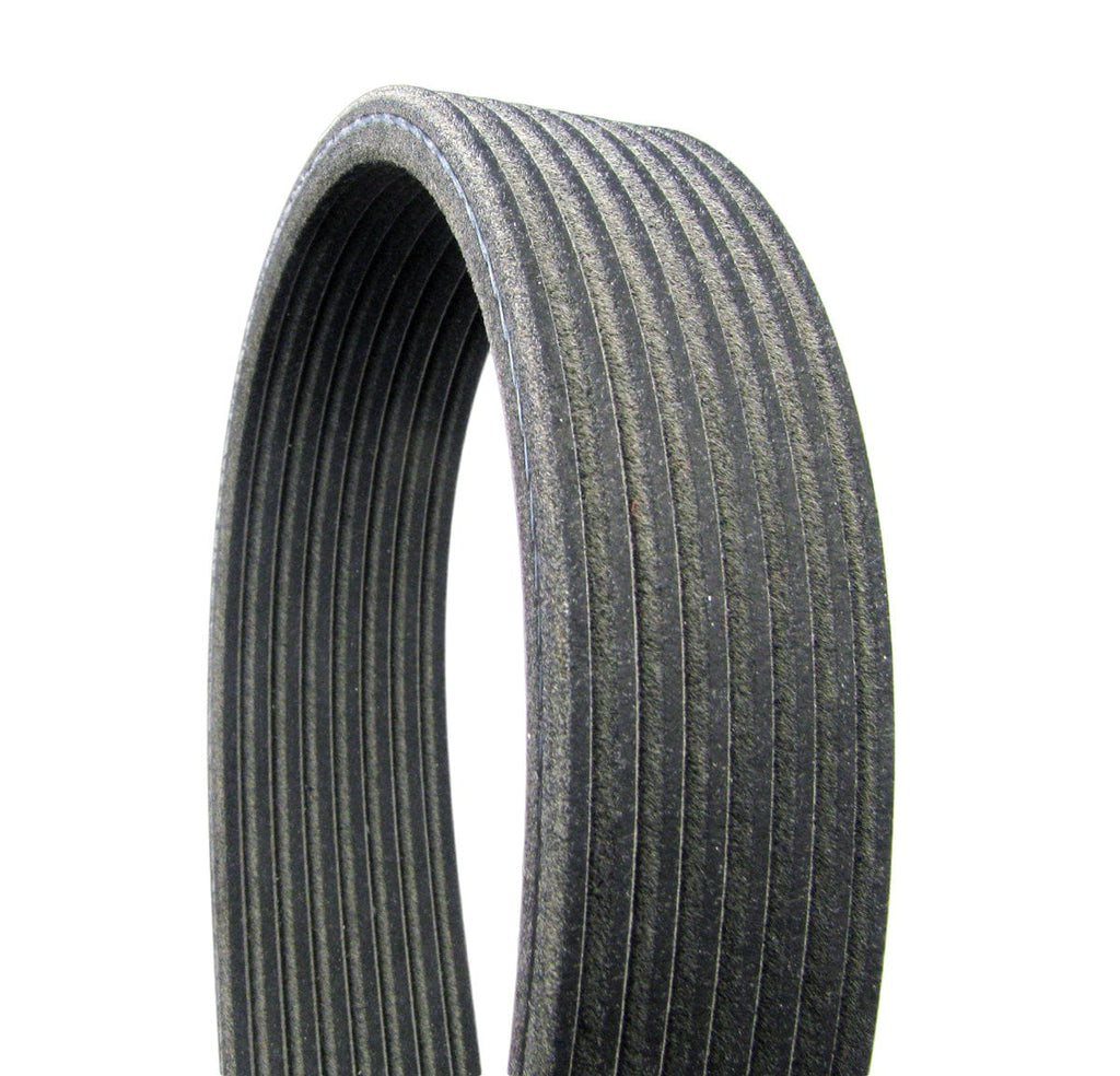 Dual-Sided Multi-V Belt - Jaguar | C2C37055 – UroTuning