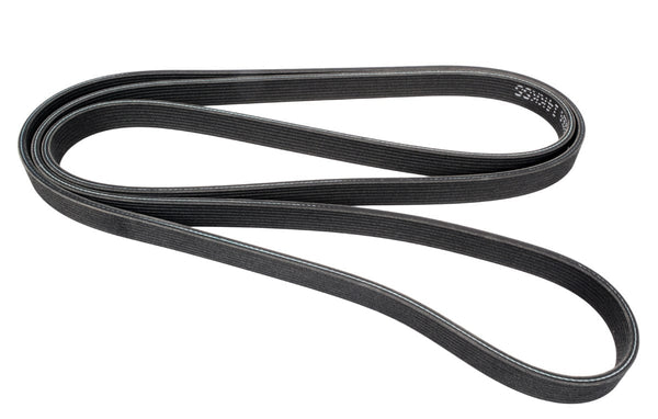 Dual-Sided Multi-V Belt - Jaguar | C2D39175 – UroTuning