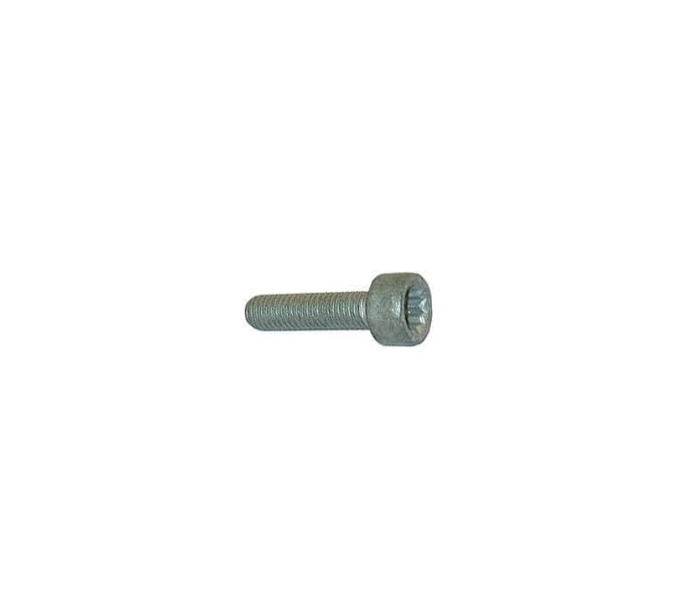 VW/Audi 12 Point Torx Bolt (M8x32) - VW/Audi | N91128701 – UroTuning