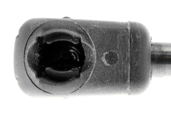 Trunk Gas Strut - VW/Audi | 4L0827552F – UroTuning