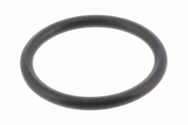 Automatic Transmission Filter - VW/Audi | 09G325429H – UroTuning